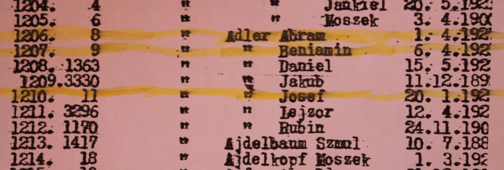 Adler, Amek – CRESTWOOD