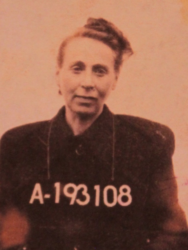 Adler, Amek – CRESTWOOD