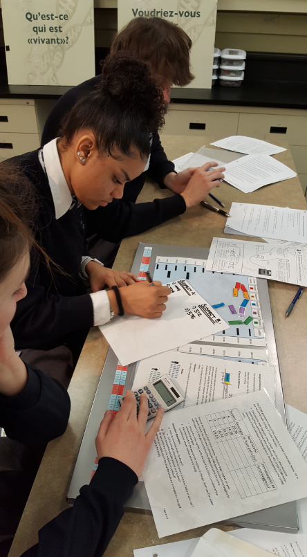 Grade 12 Biology Students Perform DNA Fingerprinting – CRESTWOOD